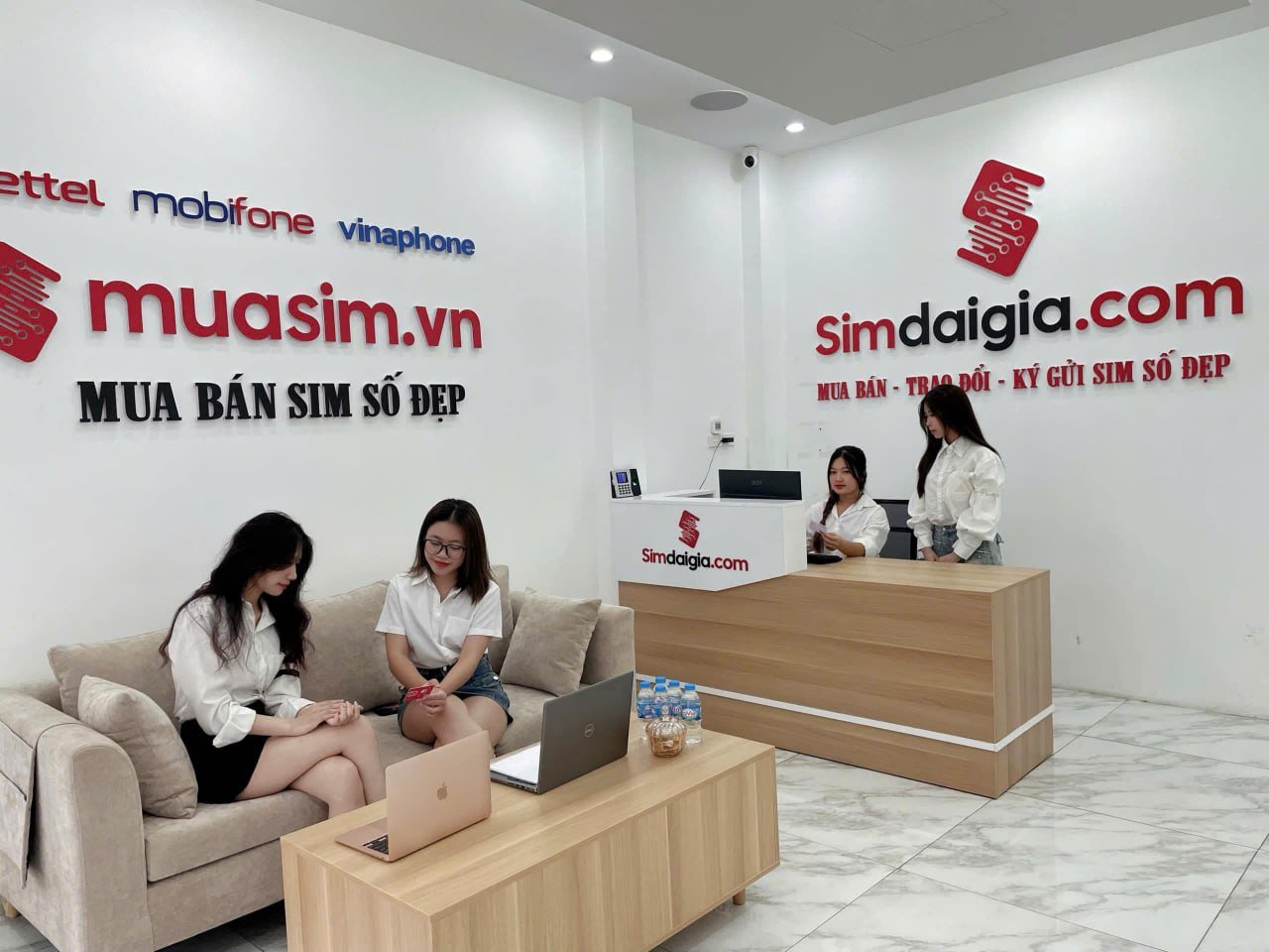 Tuổi Quý Hợi 1983 Hợp Số Nào? Những Thông Tin Thú Vị